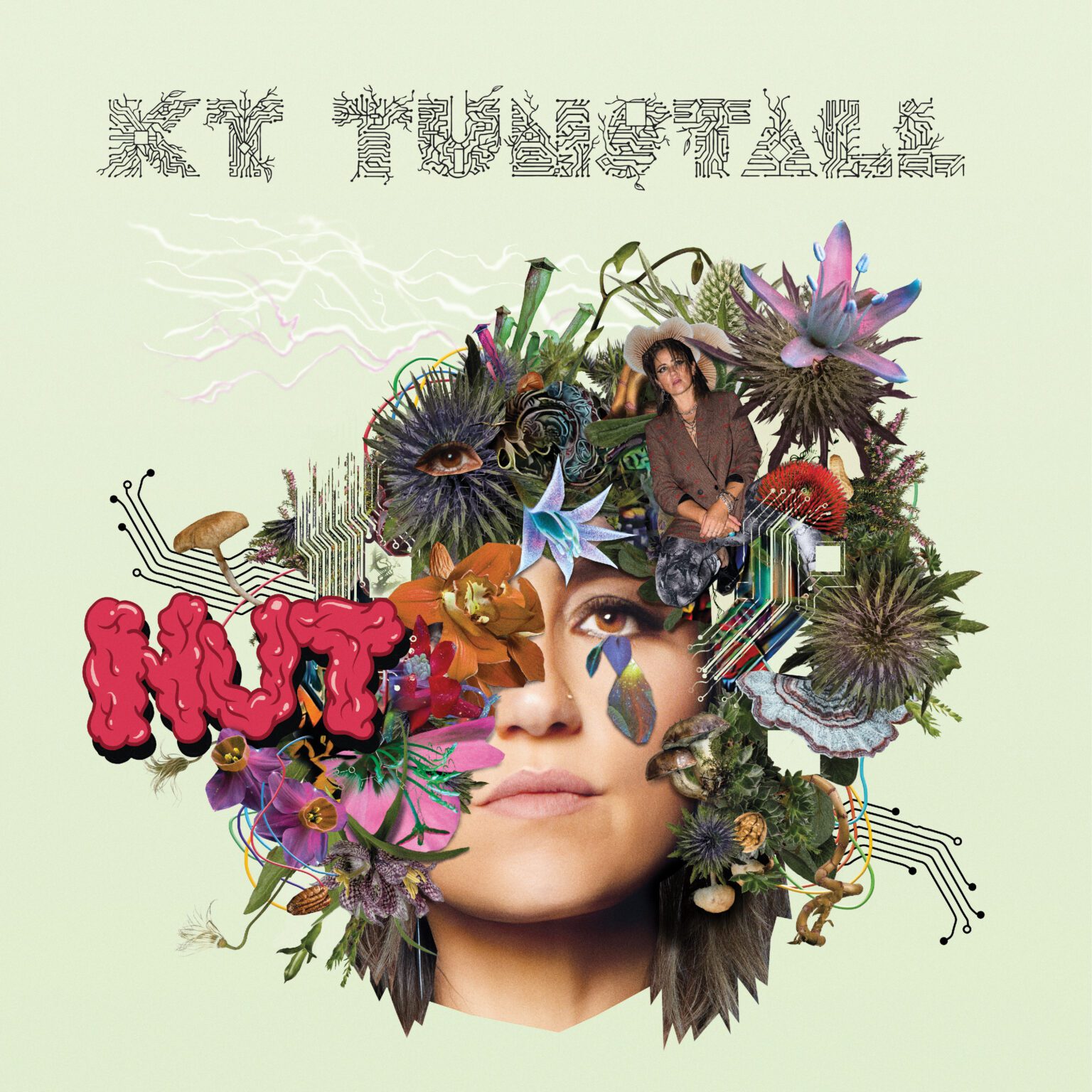 KT TUNSTALL Announces New Album ~NUT~ First Single Out Today! - Guitar ...